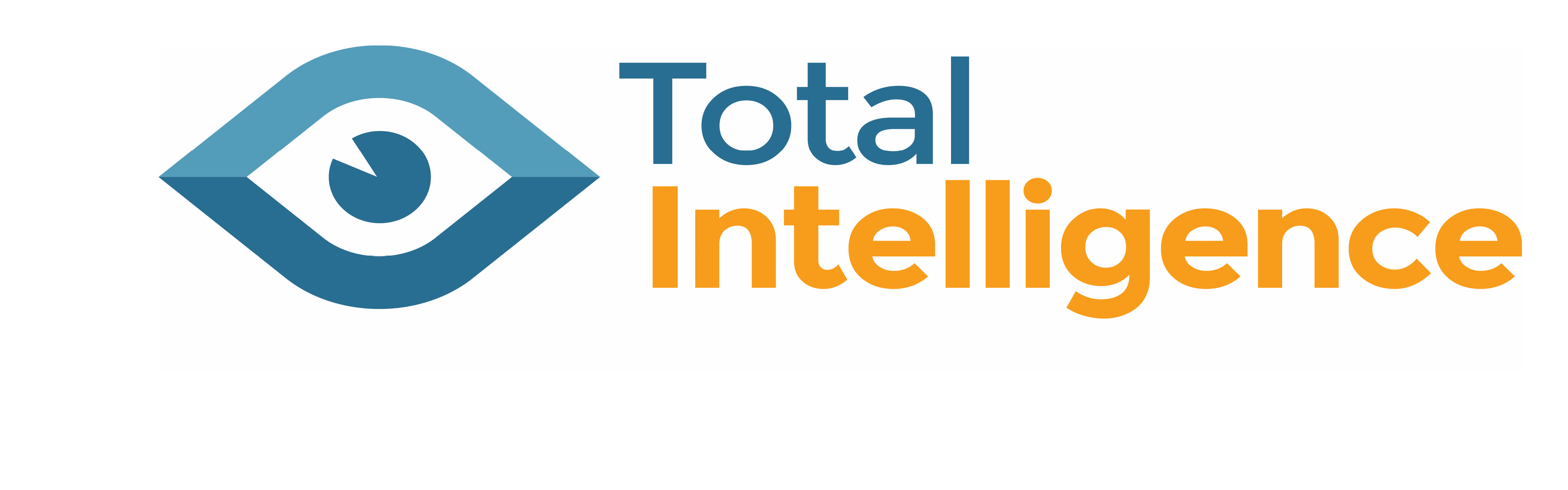 TOTAL INTELLIGENCE BASIC LOGO – Total Intelligence